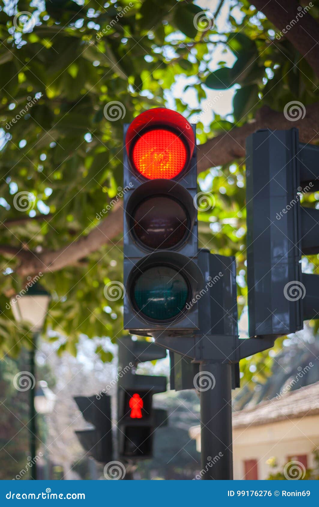 Red traffic light stock photo. Image of driving, lights - 99176276