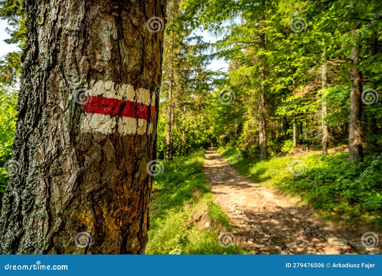 The red trail stock photo. Image of walk, sign, focus - 279476506