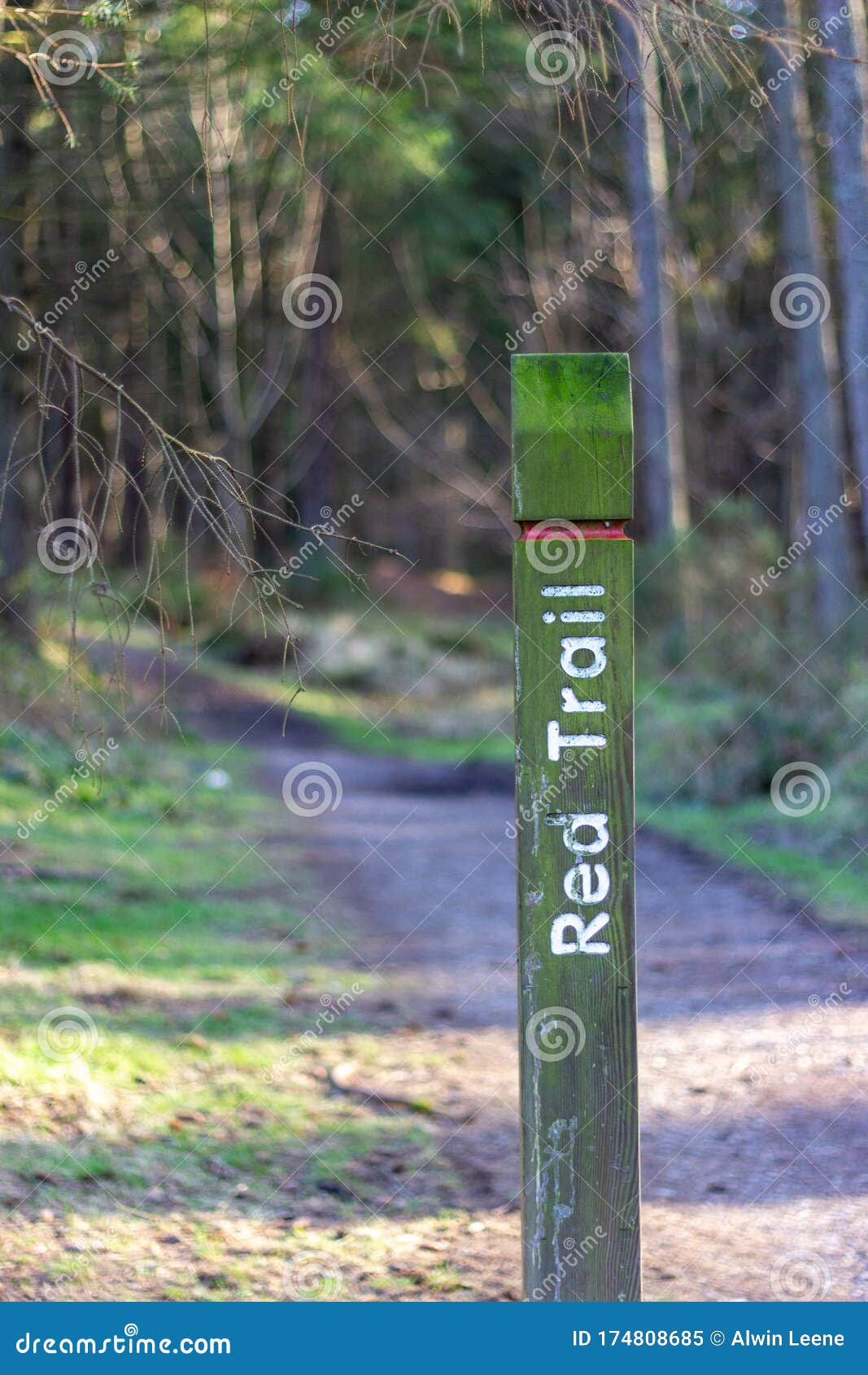 Red Trail Signpost Next To Path in Tyrebagger Forest Stock Image ...