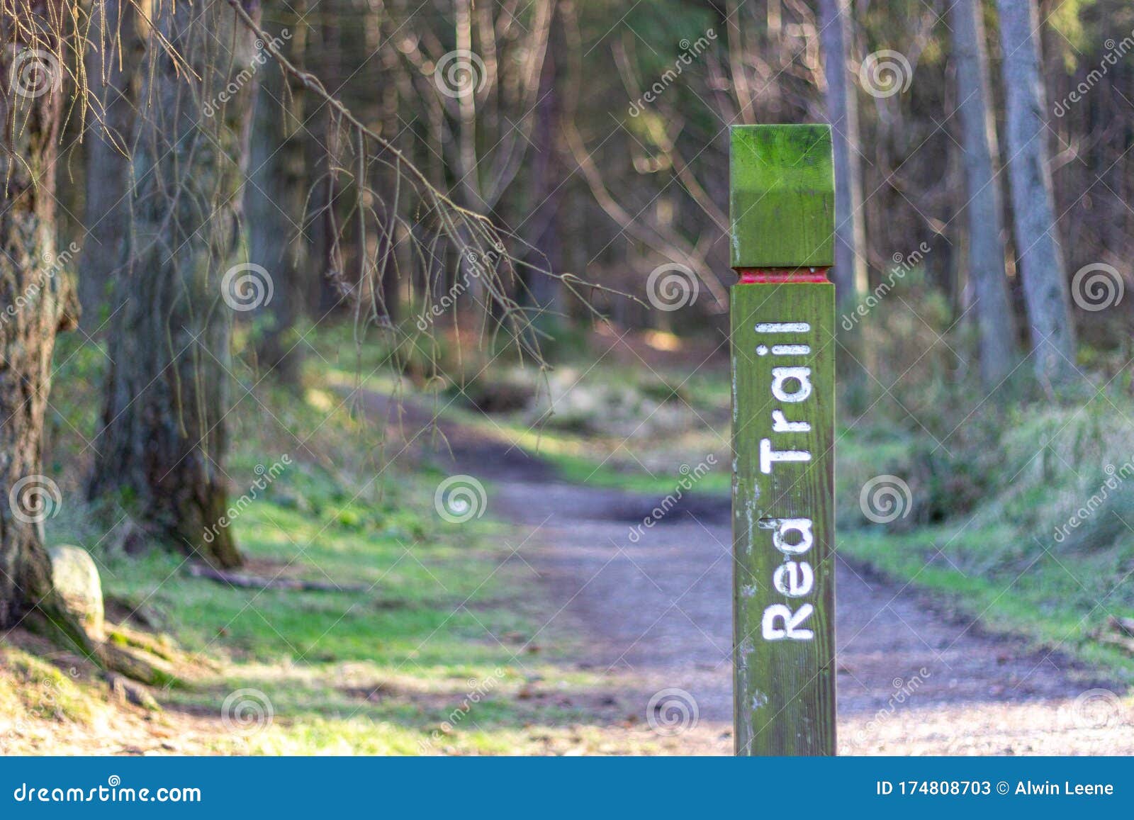 Red Trail Signpost Next To Path in Tyrebagger Forest Stock Image ...