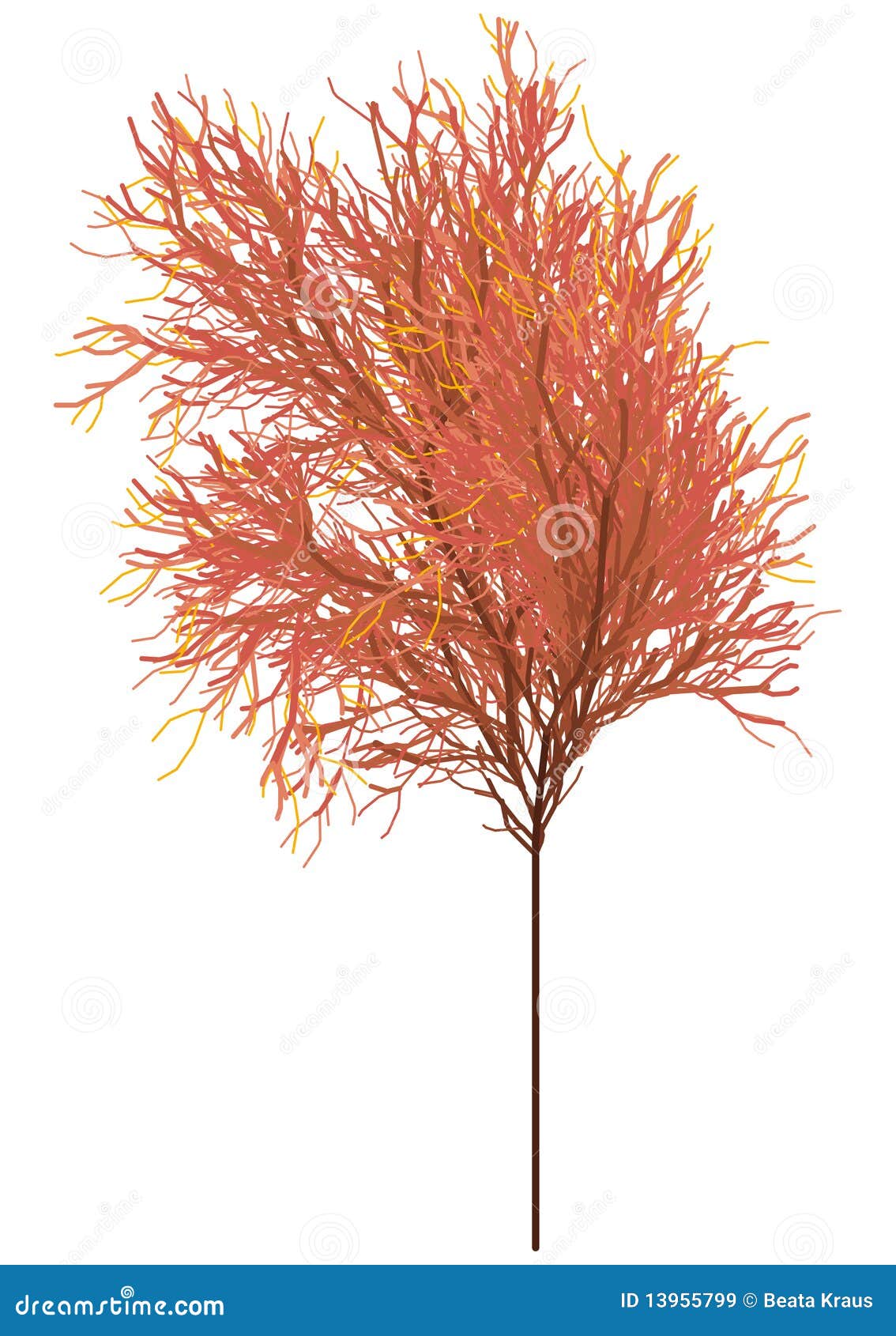 Red tree stock vector. Illustration of garden, drawing - 13955799