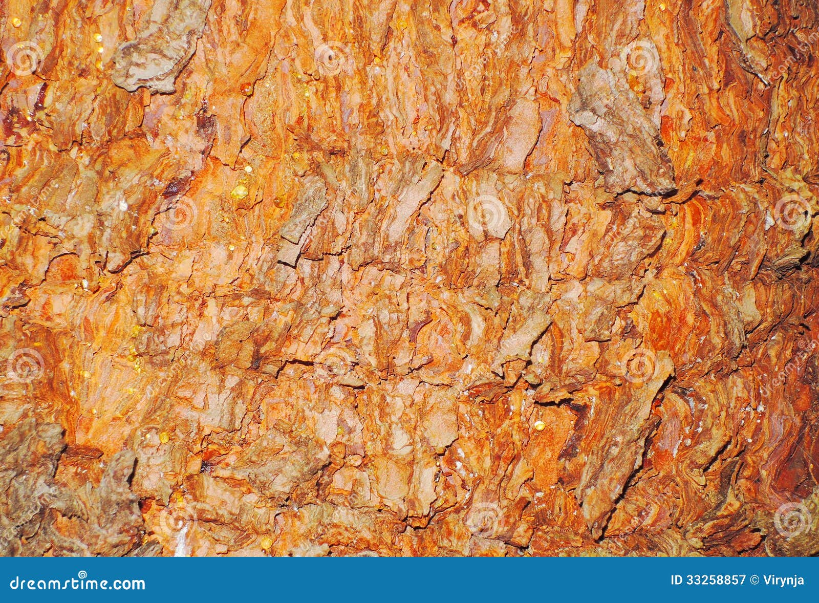 Red tree bark texture stock image. Image of brown, natural - 33258857