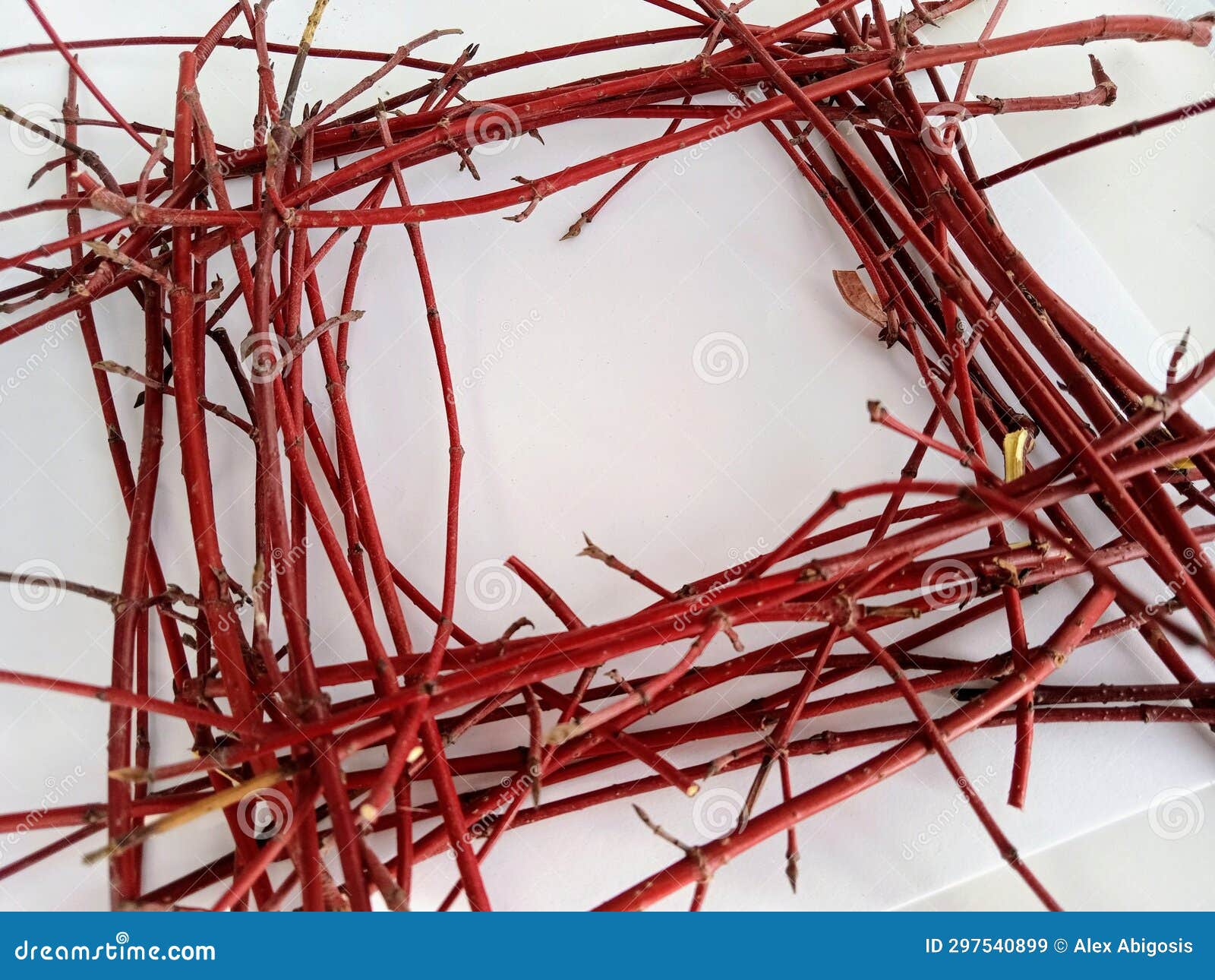 Red Tree Branches Border on a White Background Stock Image - Image of ...