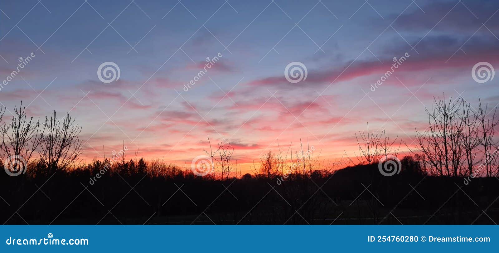 Red tree bushes heaven stock photo. Image of sunlight - 254760280
