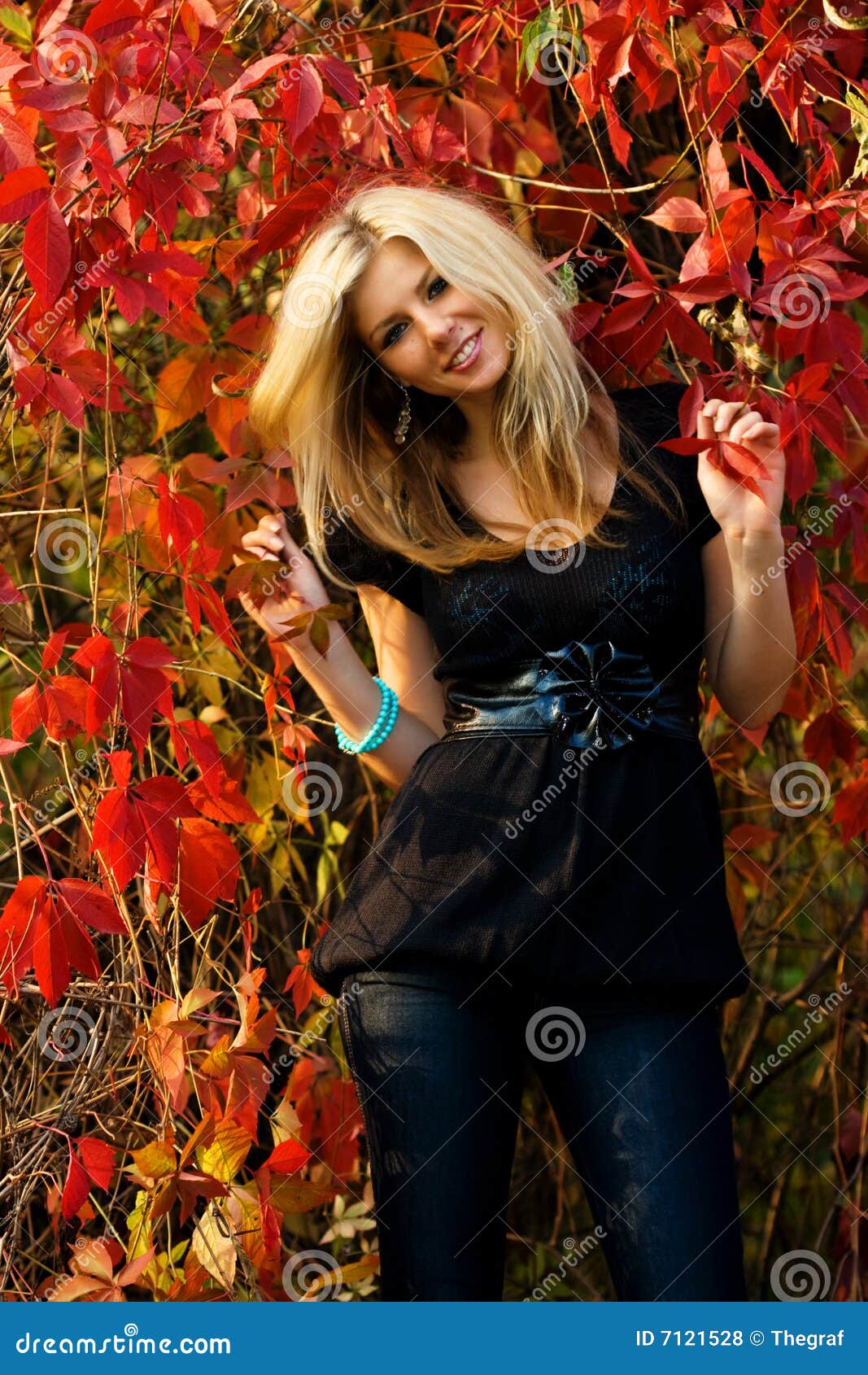 Red trees stock photo. Image of elegance, attractive, beauty - 7121528
