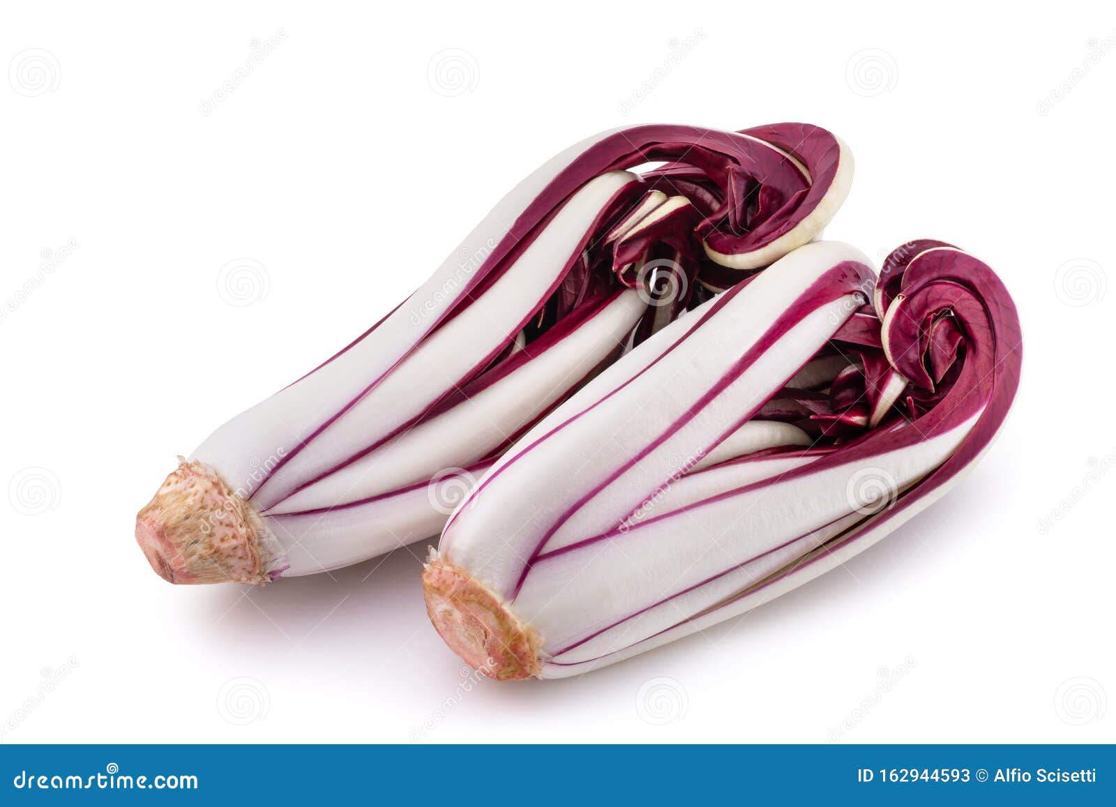 Red Treviso chicory stock image. Image of salad, agriculture - 162944593