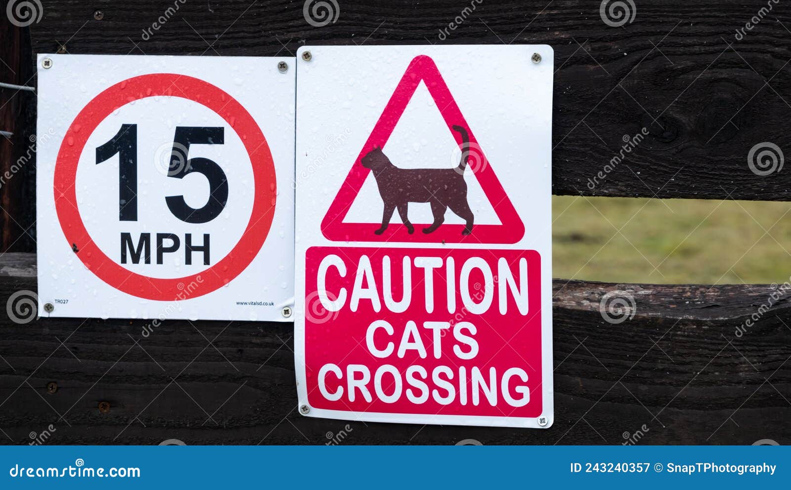 Red Triangle Caution Cats Crossing Sign and Speed Limit Stock Image ...