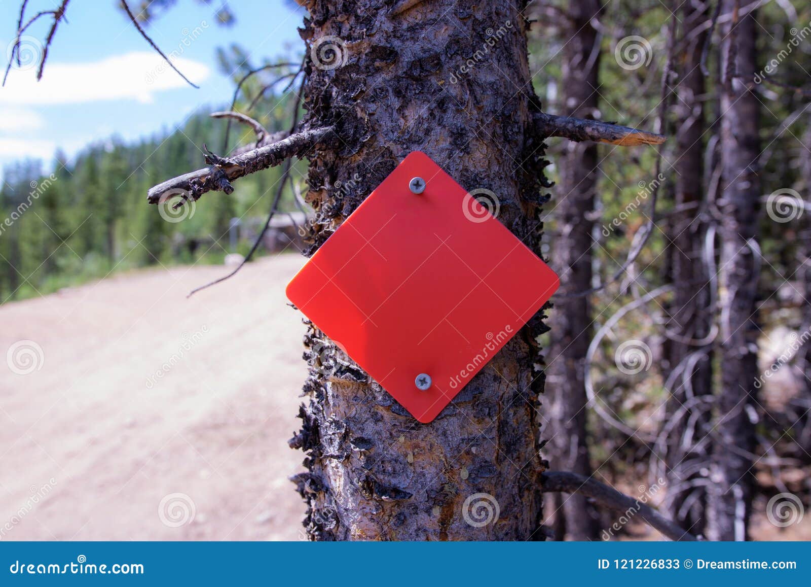 Red Triangle Marker on Tree Trails Stock Image - Image of hiking ...