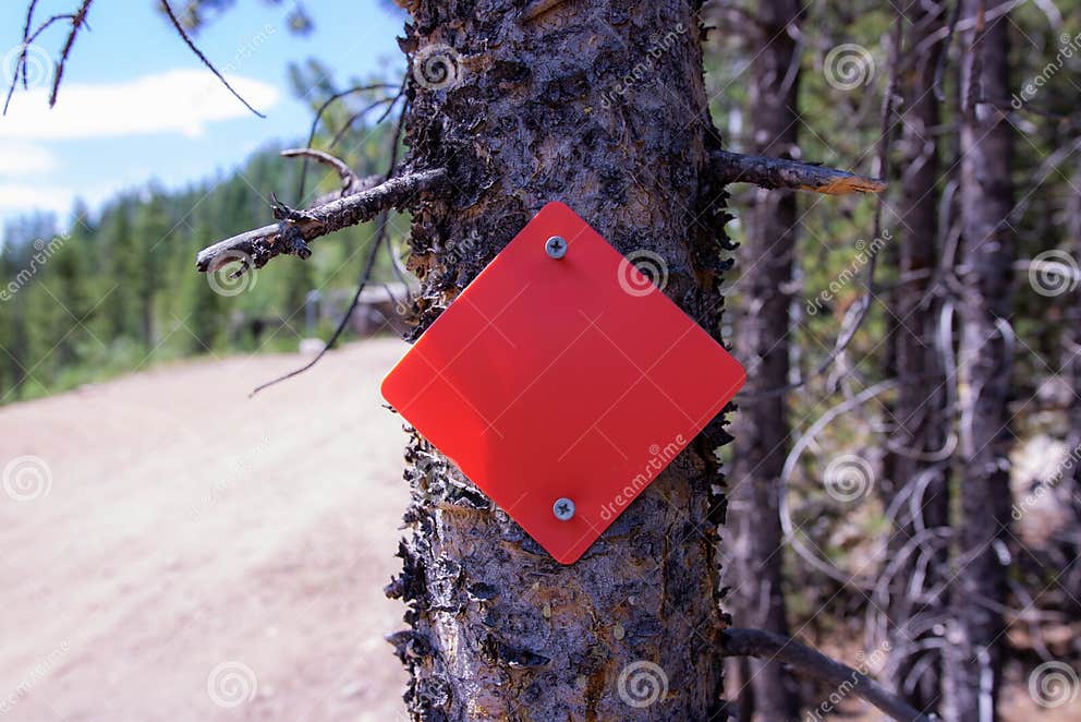 Red Triangle Marker on Tree Trails Stock Image - Image of hiking ...
