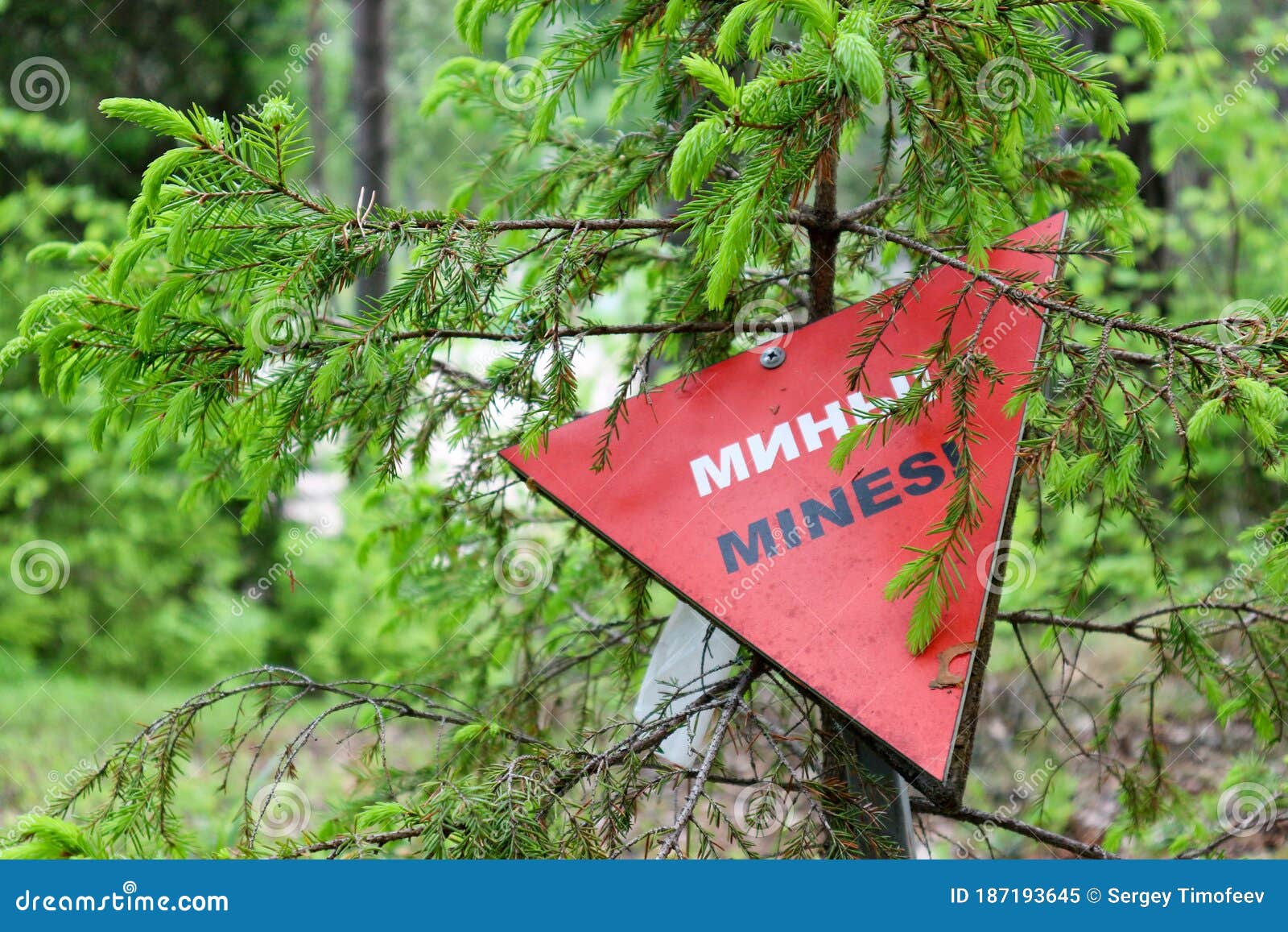 Red Triangle Mine Warning Sign in the Forest Stock Image - Image of ...