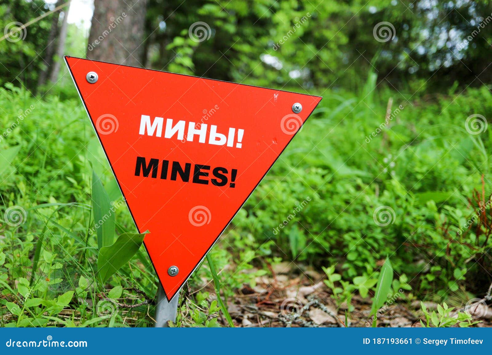 Red Triangle Mine Warning Sign in the Forest Stock Image - Image of ...