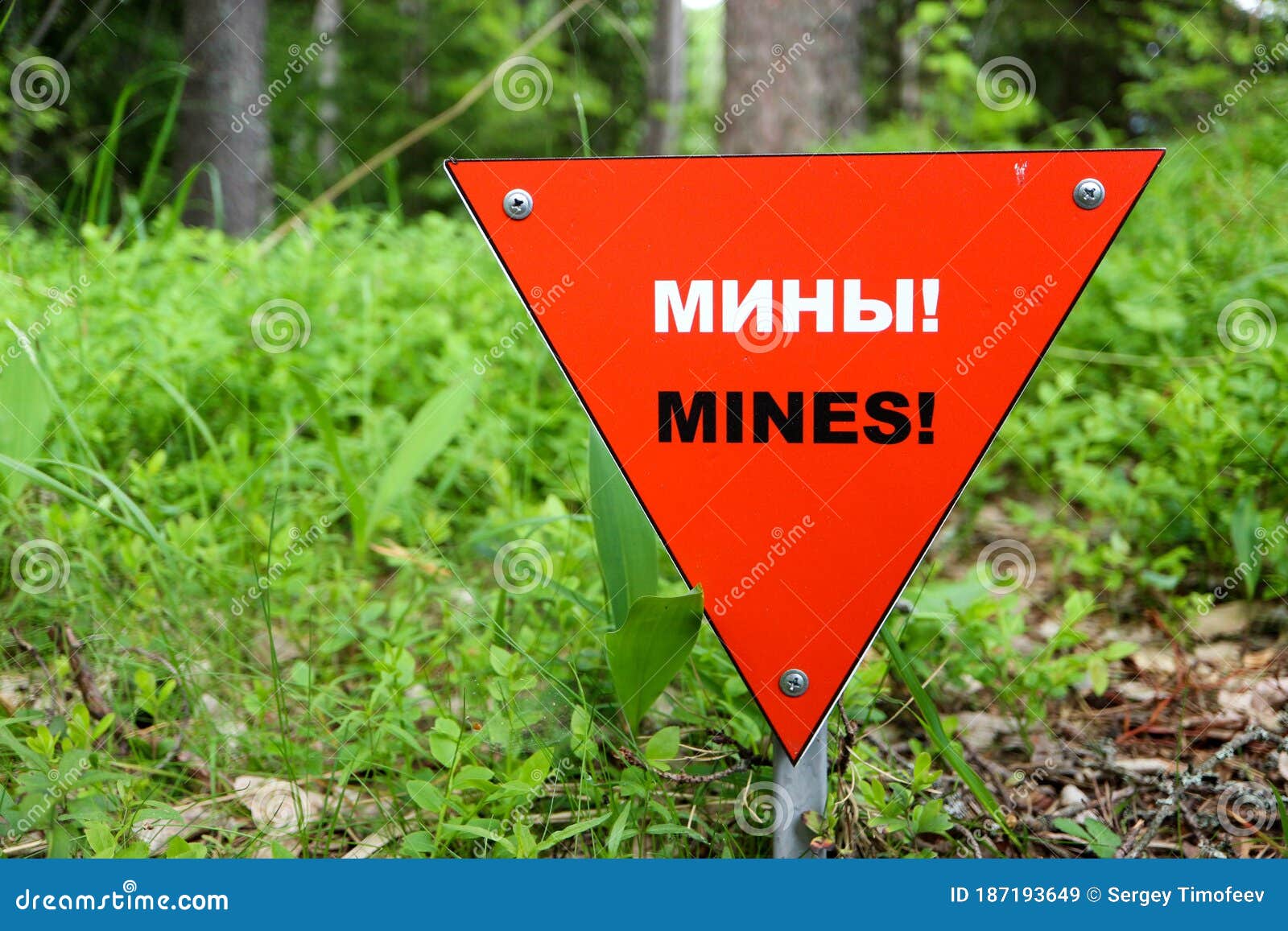 Red Triangle Mine Warning Sign in the Forest Stock Image - Image of ...