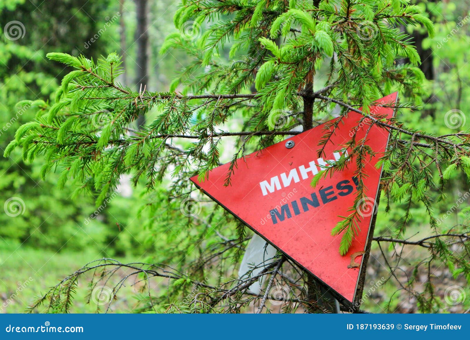 Red Triangle Mine Warning Sign in the Forest Stock Image - Image of ...