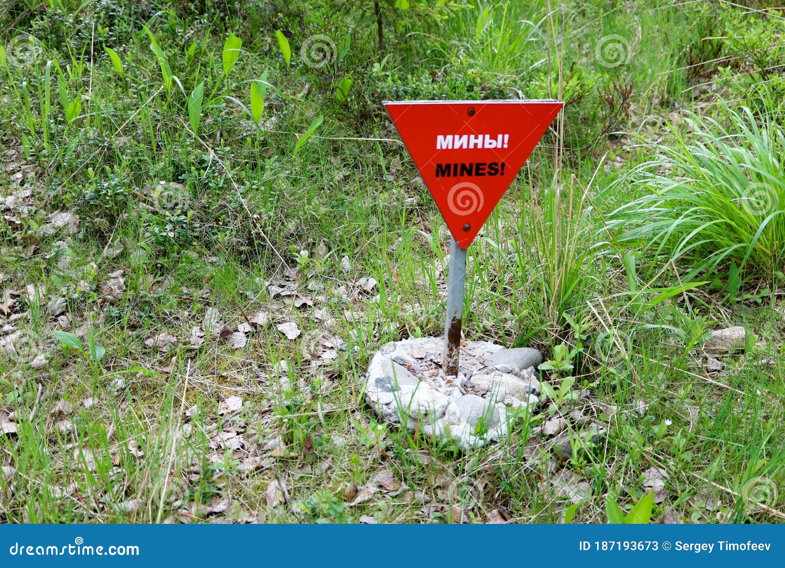 Red Triangle Mine Warning Sign in the Forest Stock Image - Image of ...