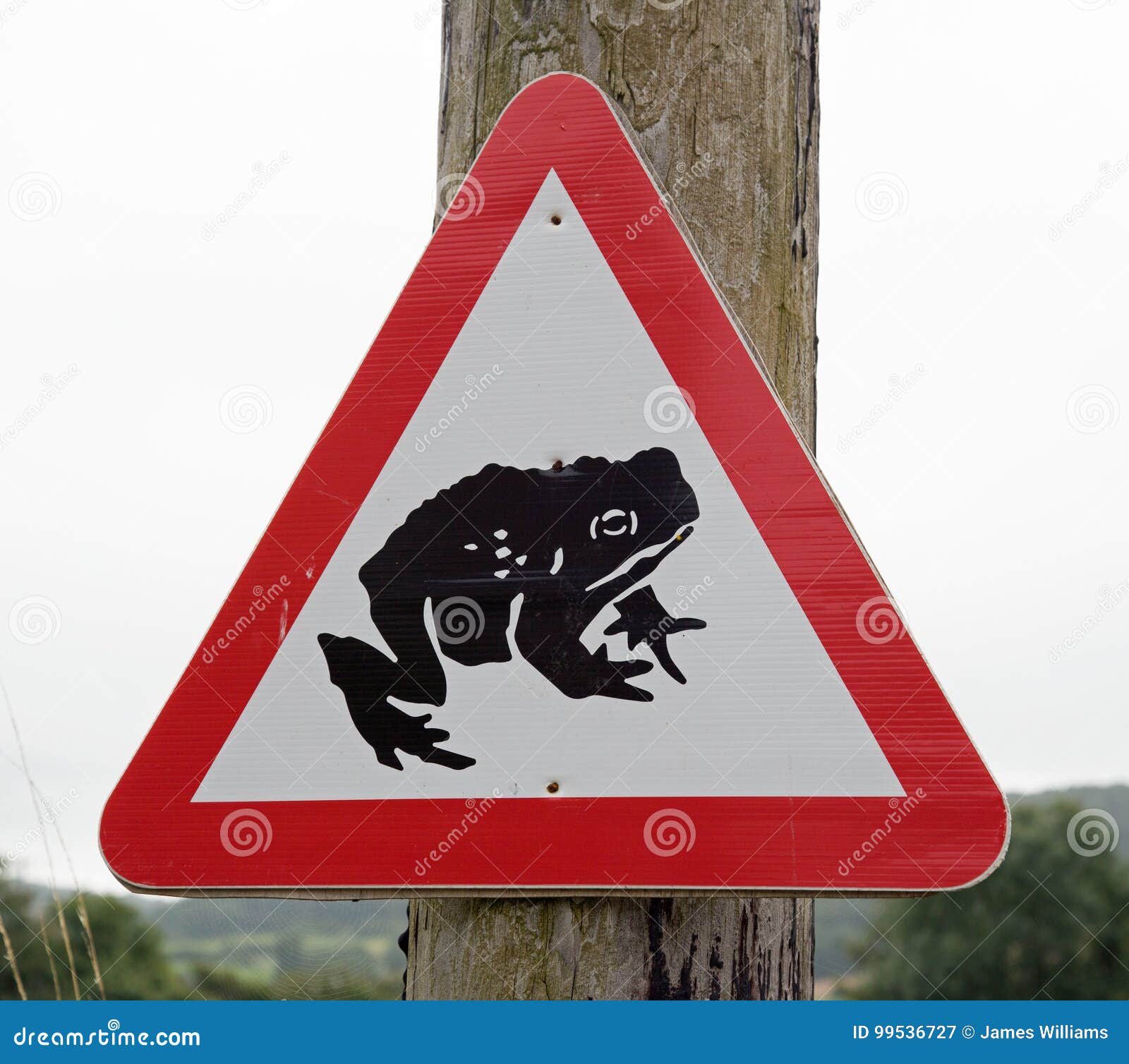A Red Triangle Warning Sign with a Black Toad in the Triangle Stock ...