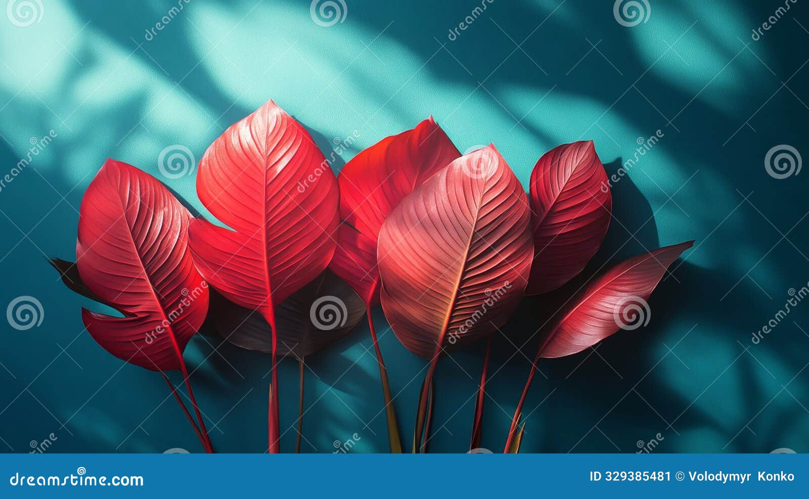 Red Tropical Leaves Against Turquoise Background, Botanical Concept ...