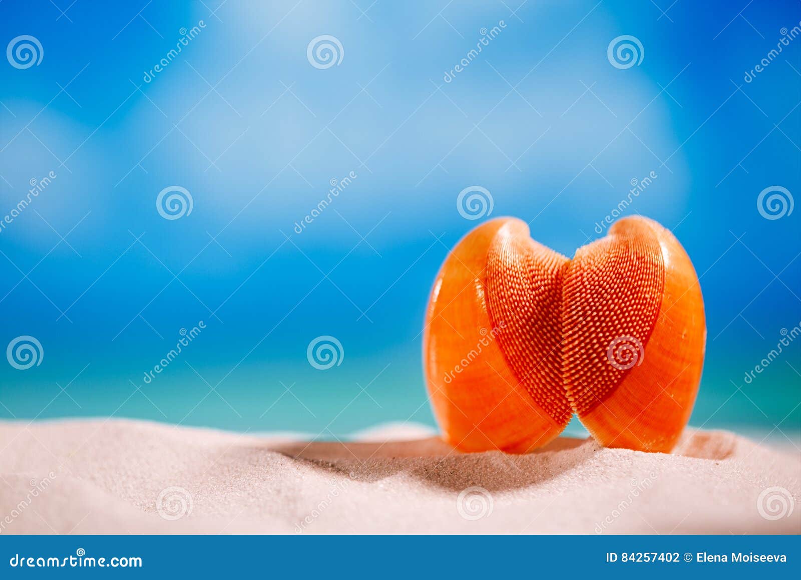 Red Tropical Shell on White Beach Sand Under Sun Light Stock Photo ...