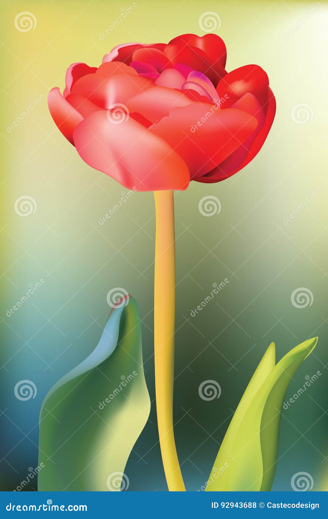 Red Tulip Flower Spring Season Background. Vector Illustration Stock ...