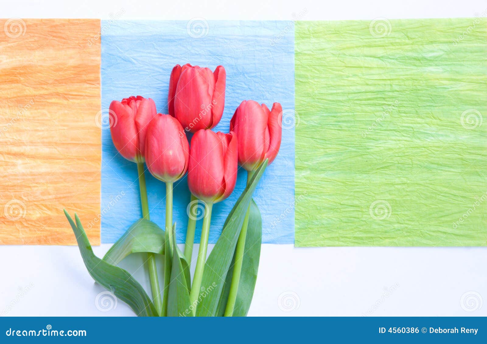 Red Tulips on Art Deco Squares Stock Photo - Image of petal, simple ...