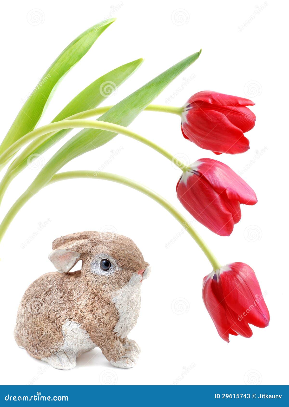 Red Tulips and Easter Bunny Stock Image - Image of group, close: 29615743