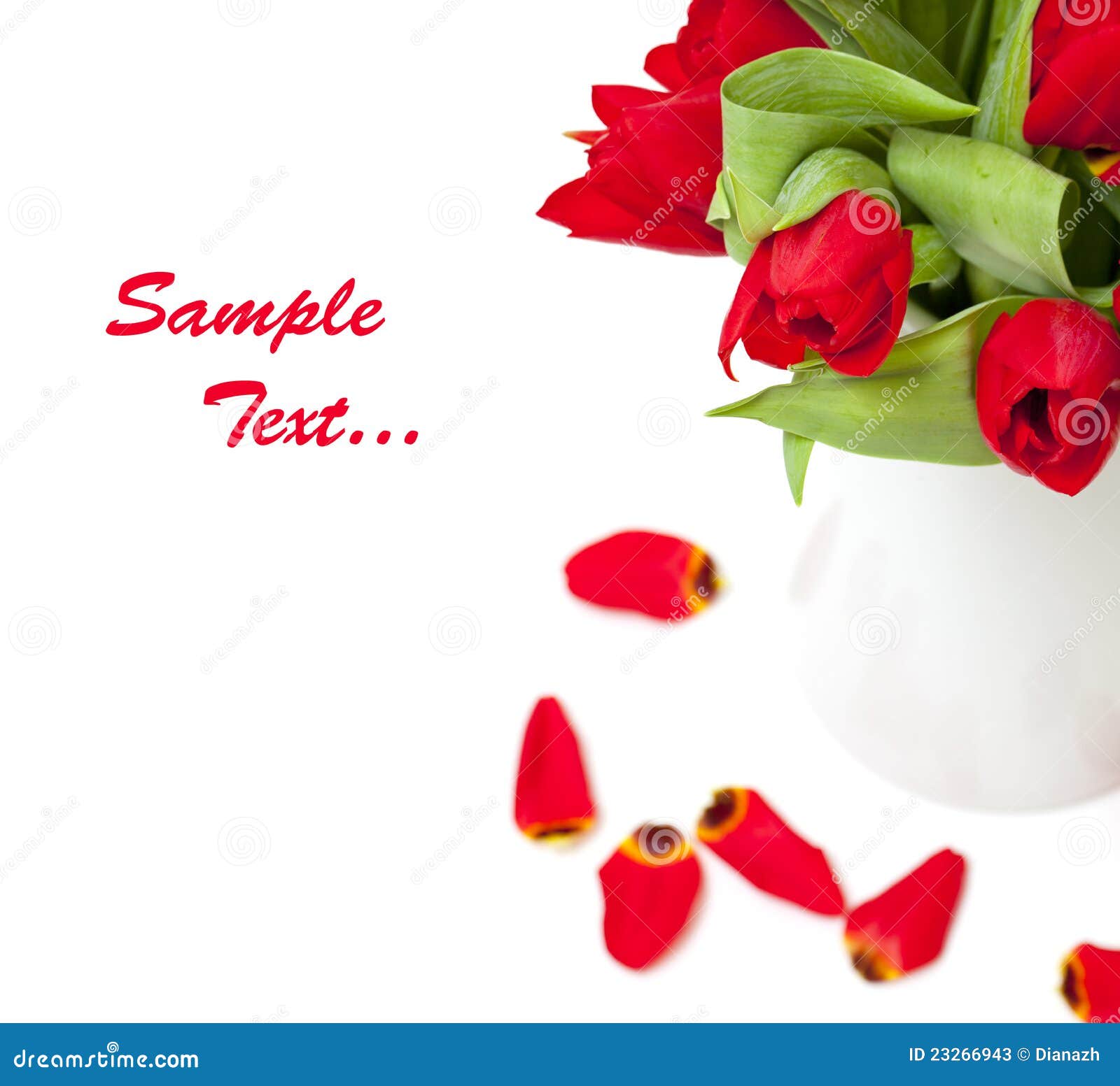Red tulips and sample text stock image. Image of isolated - 23266943