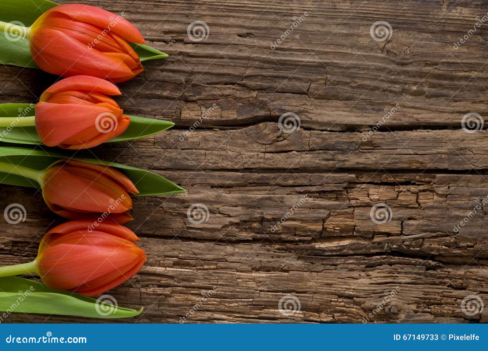 Red Tulips on Weathered Wood with Copyspace Stock Image - Image of ...