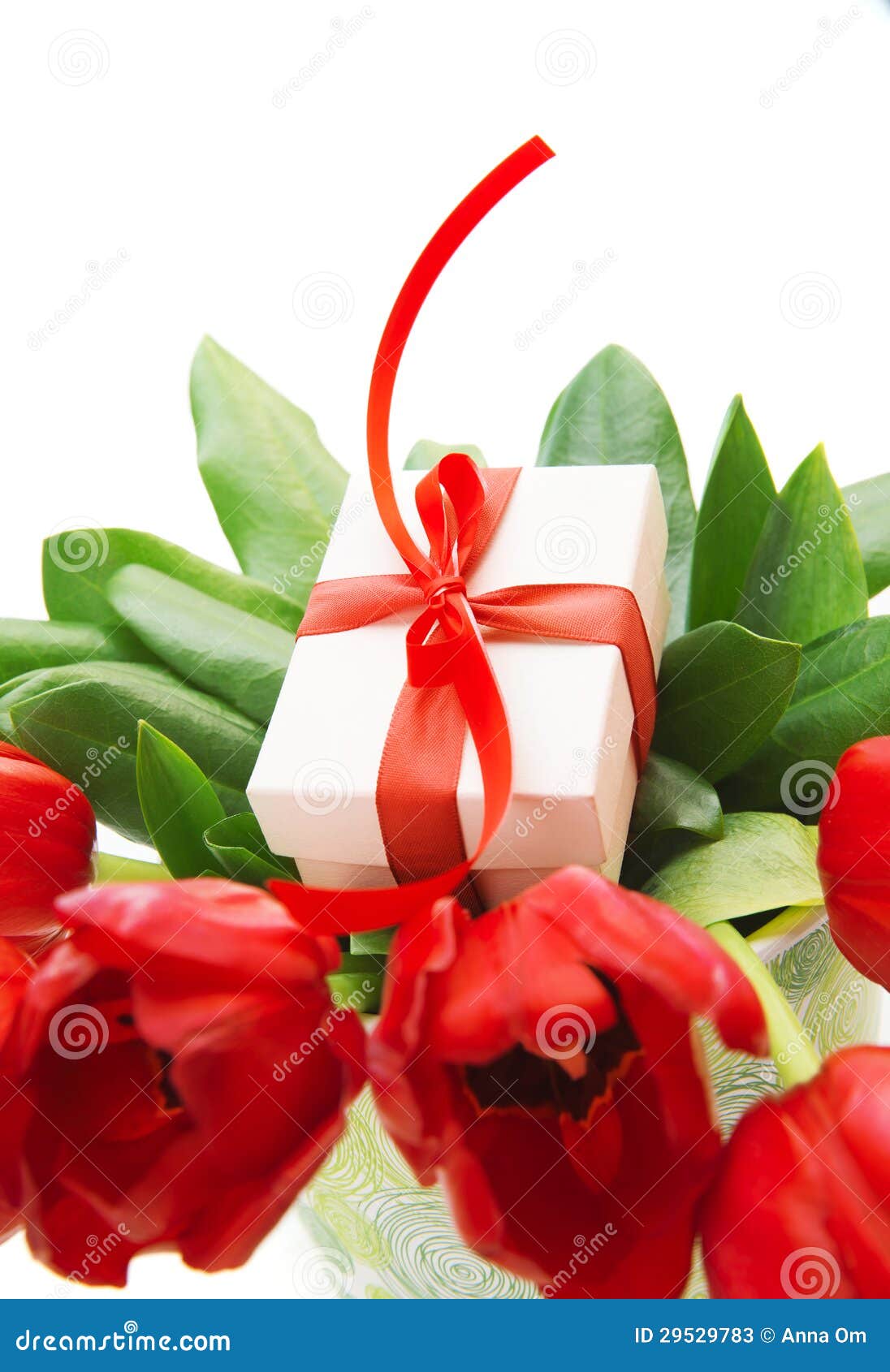 Red Tulips and White Gift Box Stock Image - Image of indoor, bloom ...
