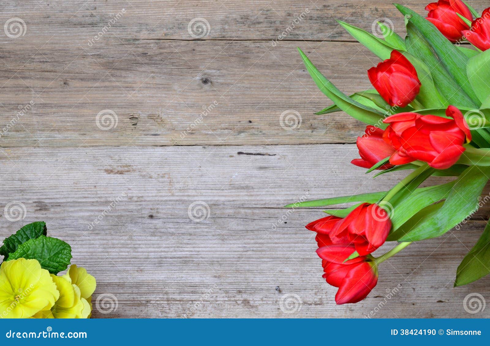 Red tulips on wood stock photo. Image of space, black - 38424190