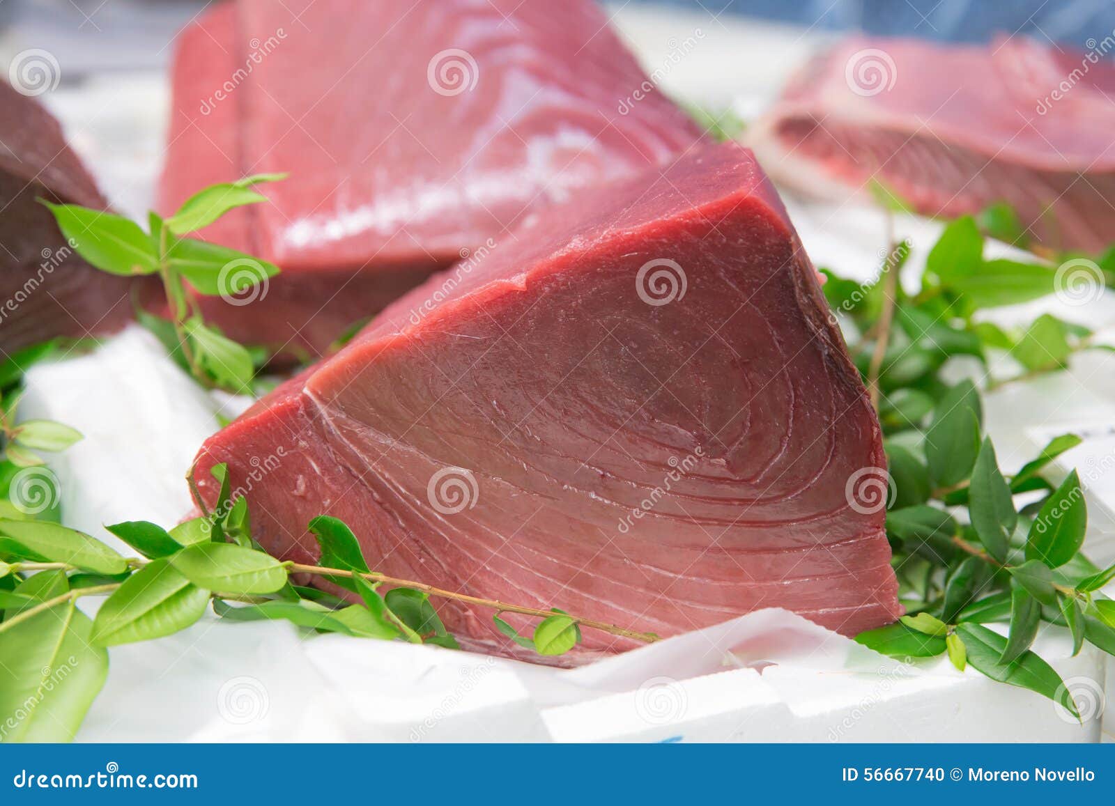 Red tuna stock photo. Image of gourmet, meal, slice, nutrition - 56667740
