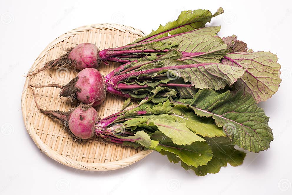 Red turnips stock image. Image of bamboo, cook, white - 90083063