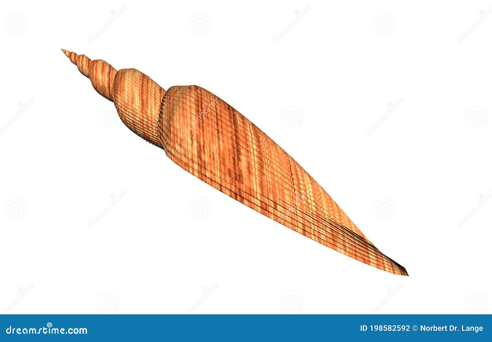 Red twisted sea shell stock illustration. Illustration of freisteller ...