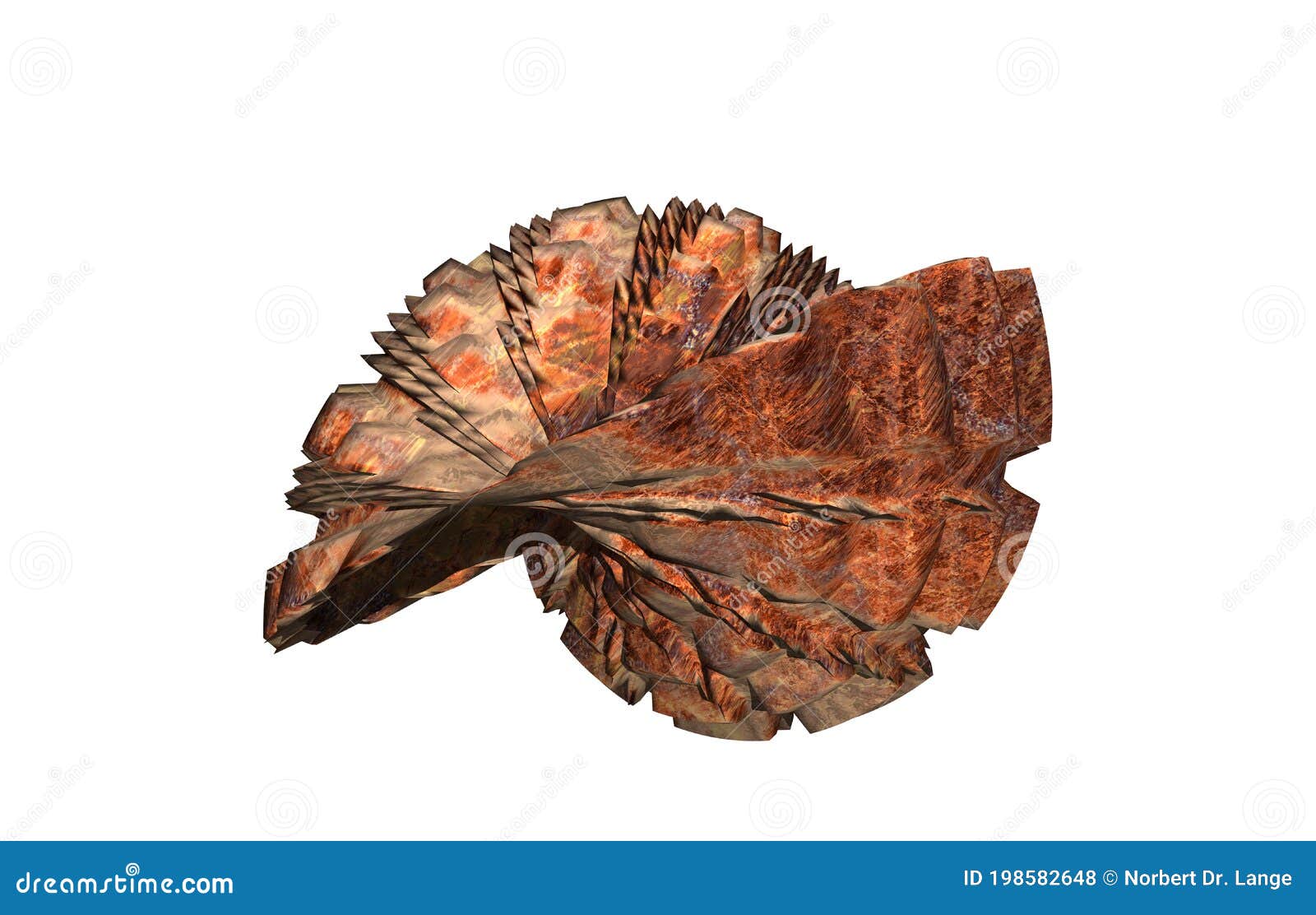 Red twisted sea shell stock illustration. Illustration of shell - 198582648