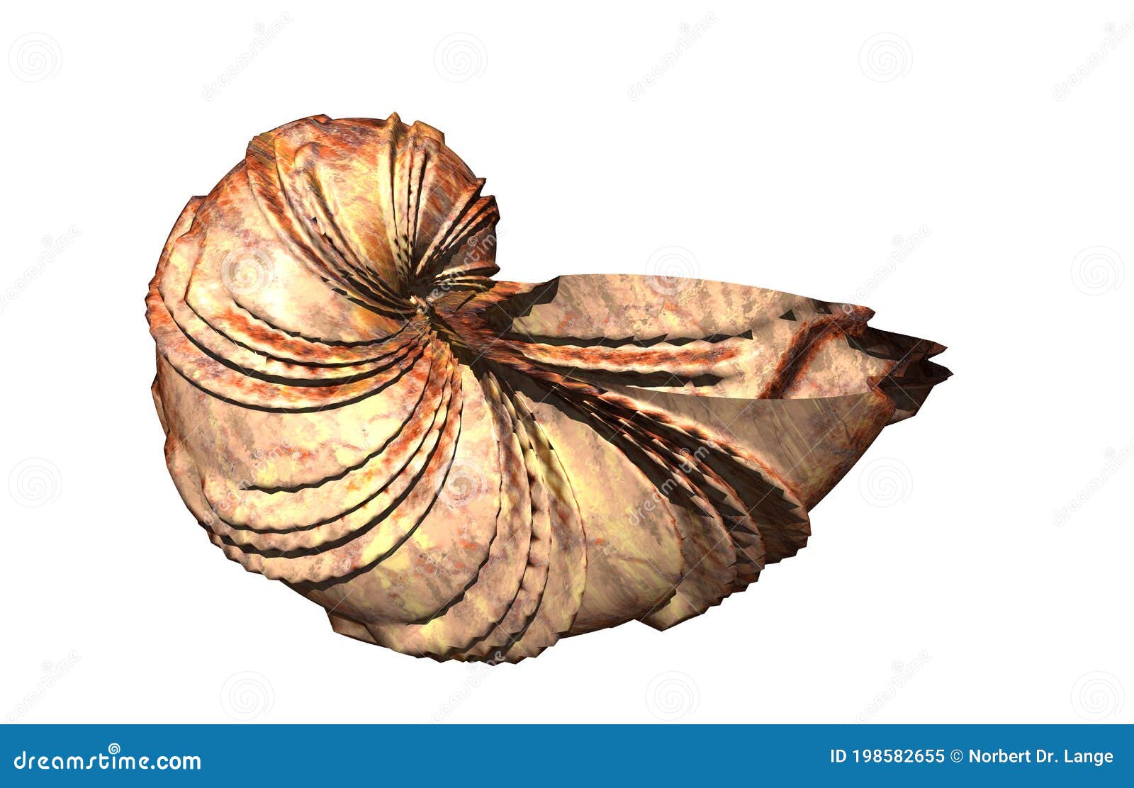 Red twisted sea shell stock illustration. Illustration of freisteller ...