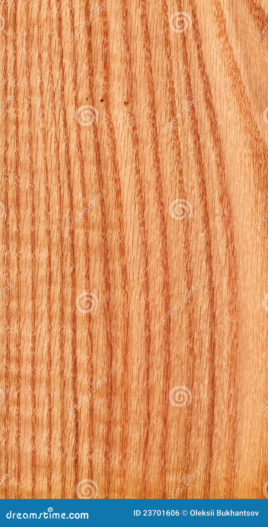Red Ukrainian Oak (wood Texture) Stock Photo - Image of material ...