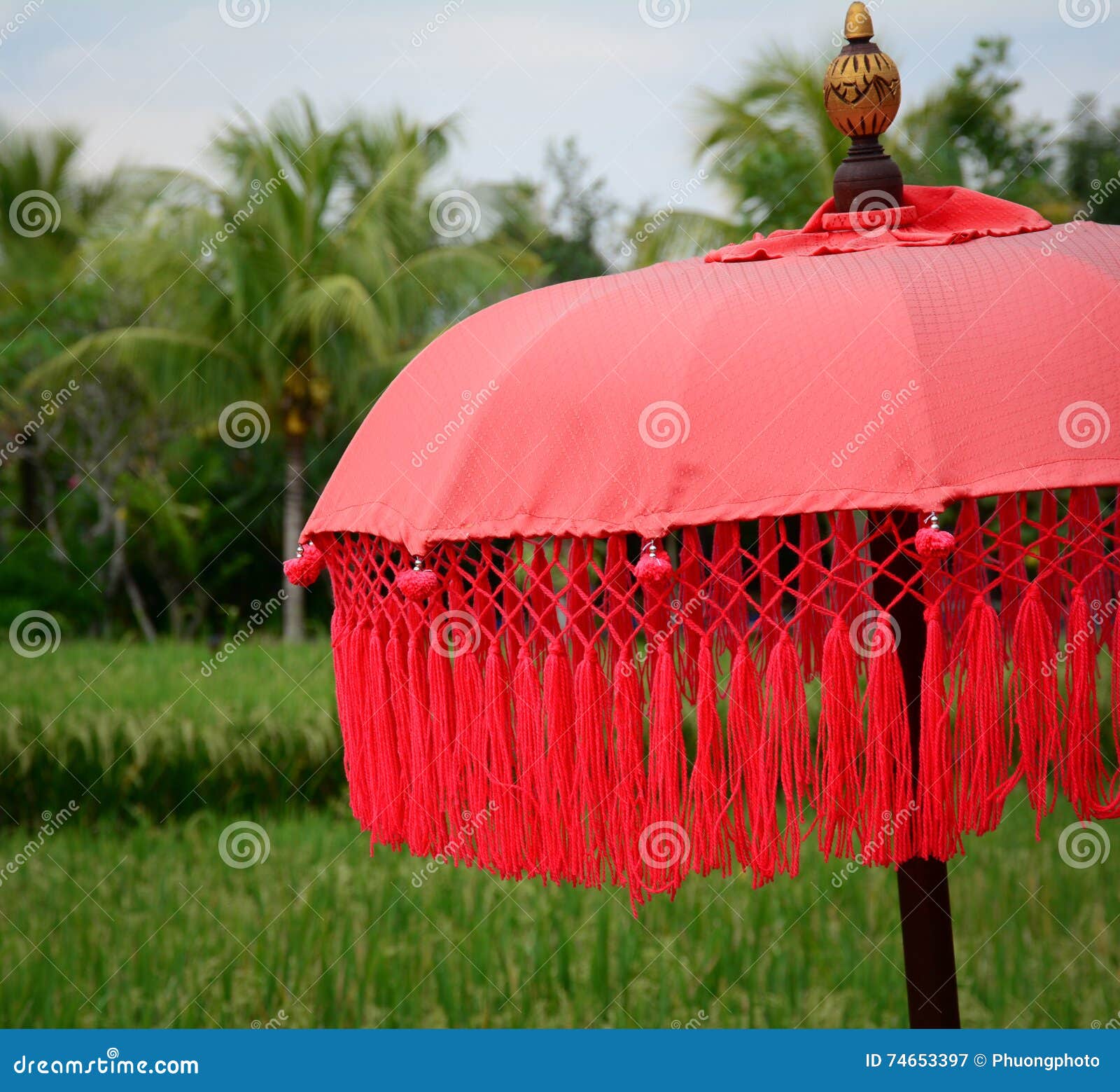 Red Umbrella for Decorations on the Rice Fields in Lombok, Indonesia ...