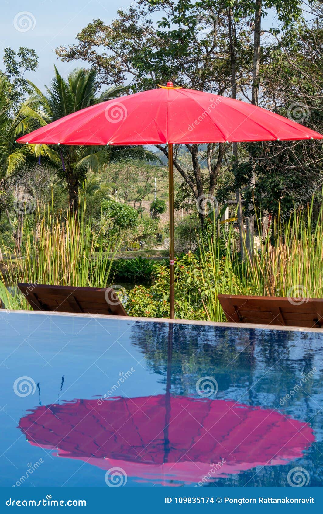 Red Umbrella Reflection in Pool Stock Photo - Image of background ...