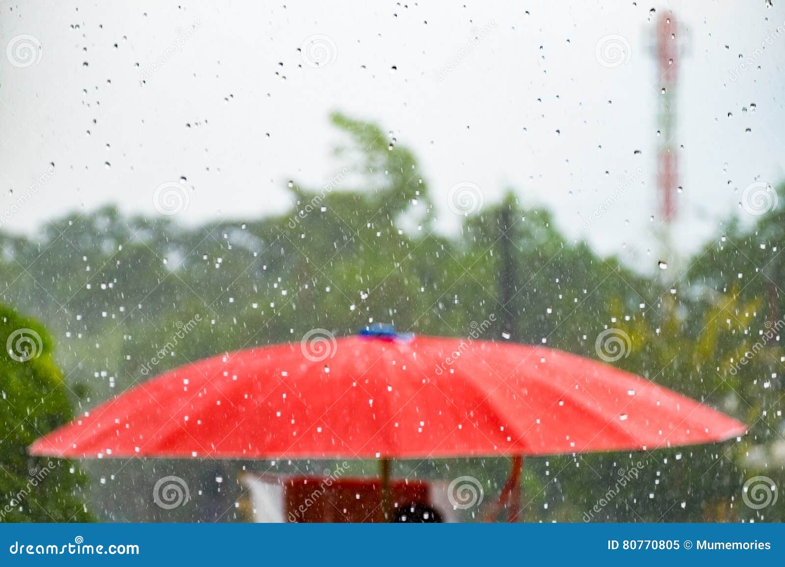Red Umbrella with Storm Fall Rain Stock Image - Image of open, raindrop ...