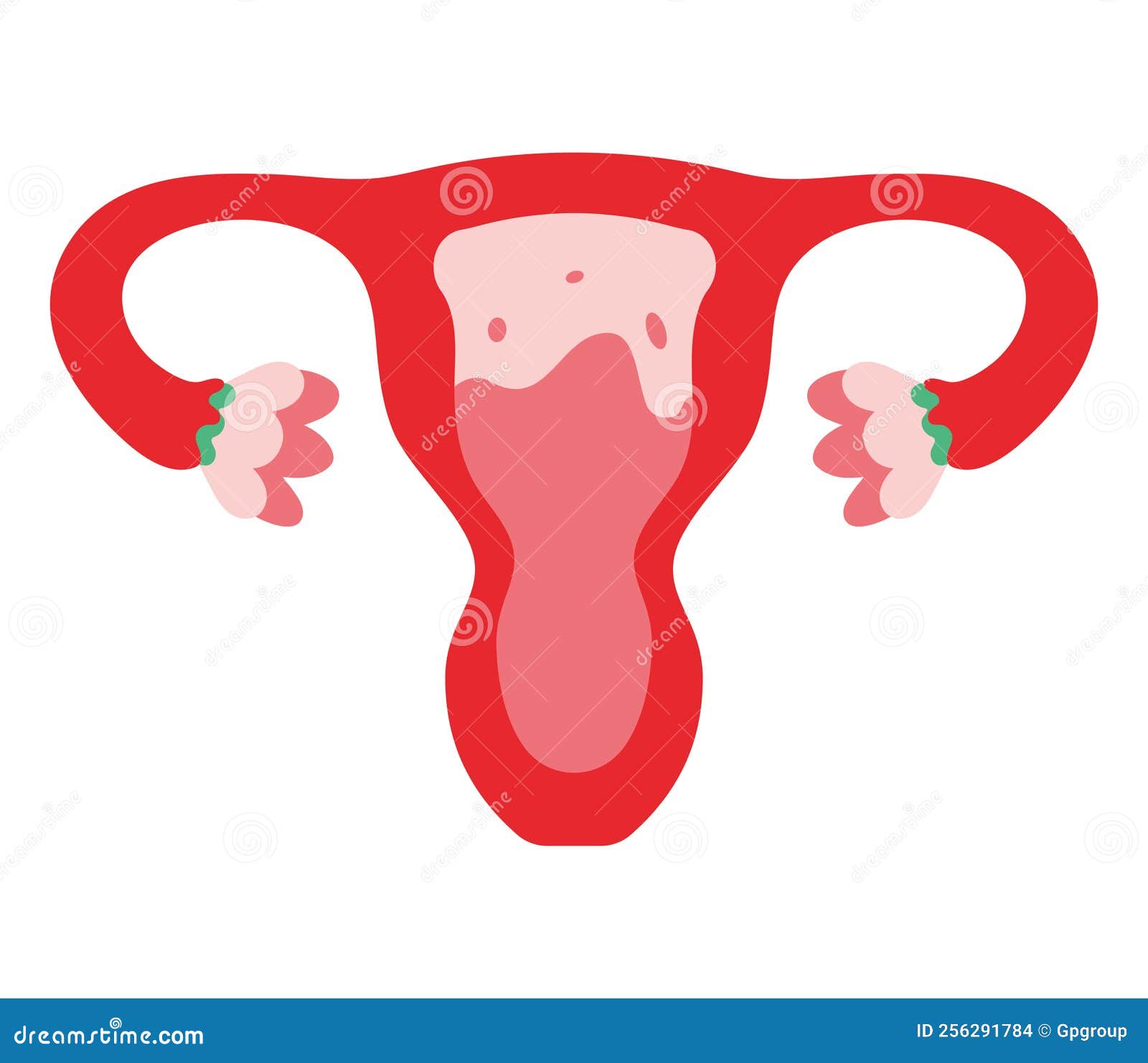 Red uterus design stock vector. Illustration of female - 256291784