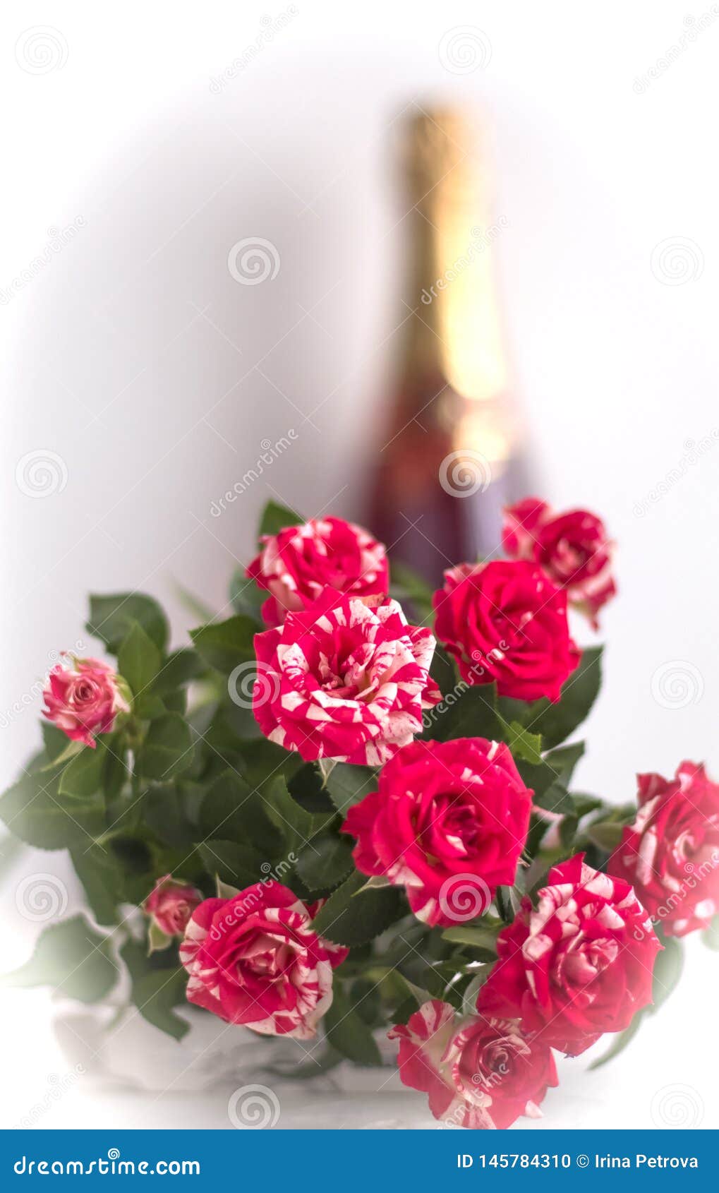 Red Variegated Roses on a White Background with a Bottle of Champagne ...