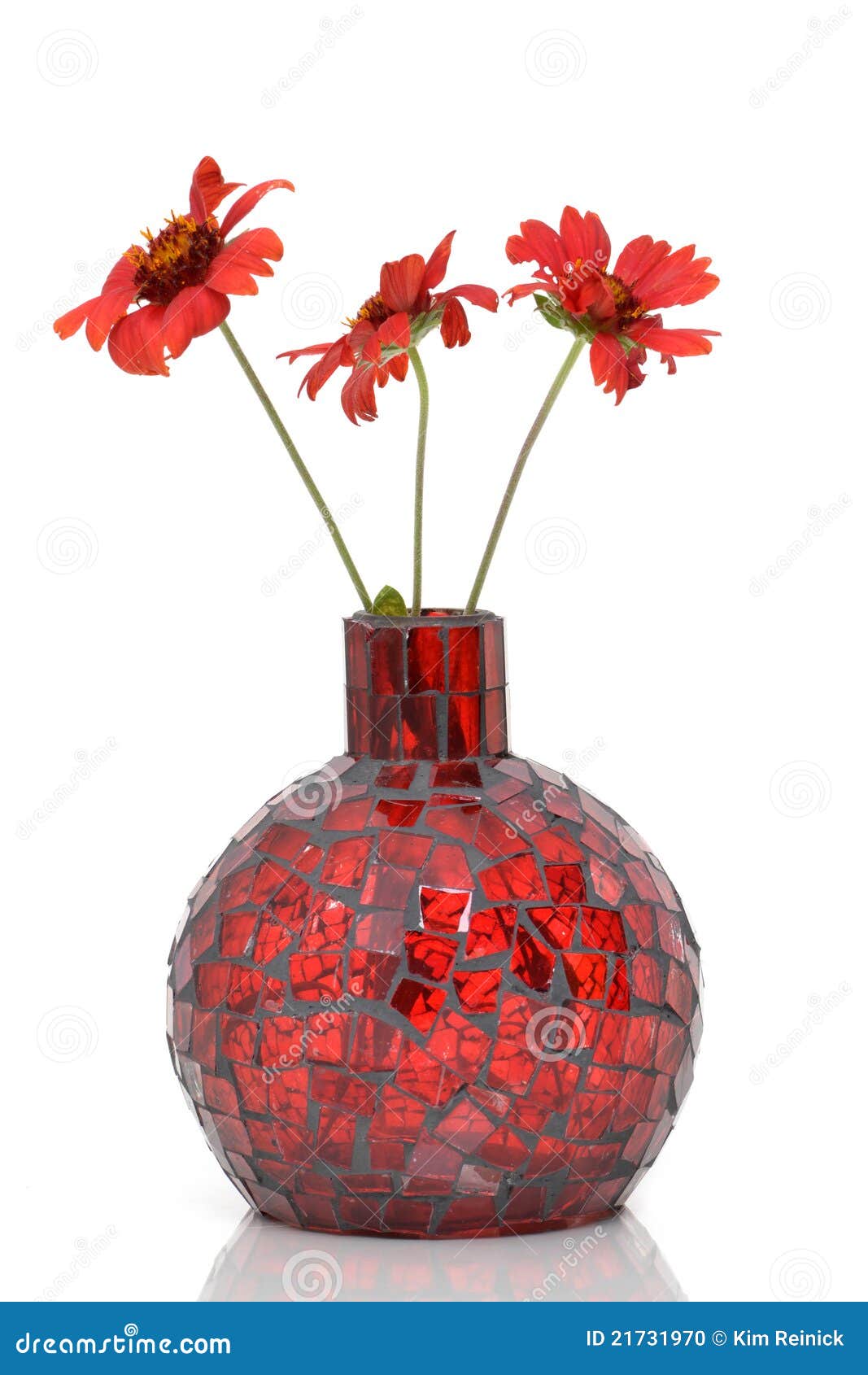 Red Vase stock photo. Image of fresh, petals, white, arrangement - 21731970