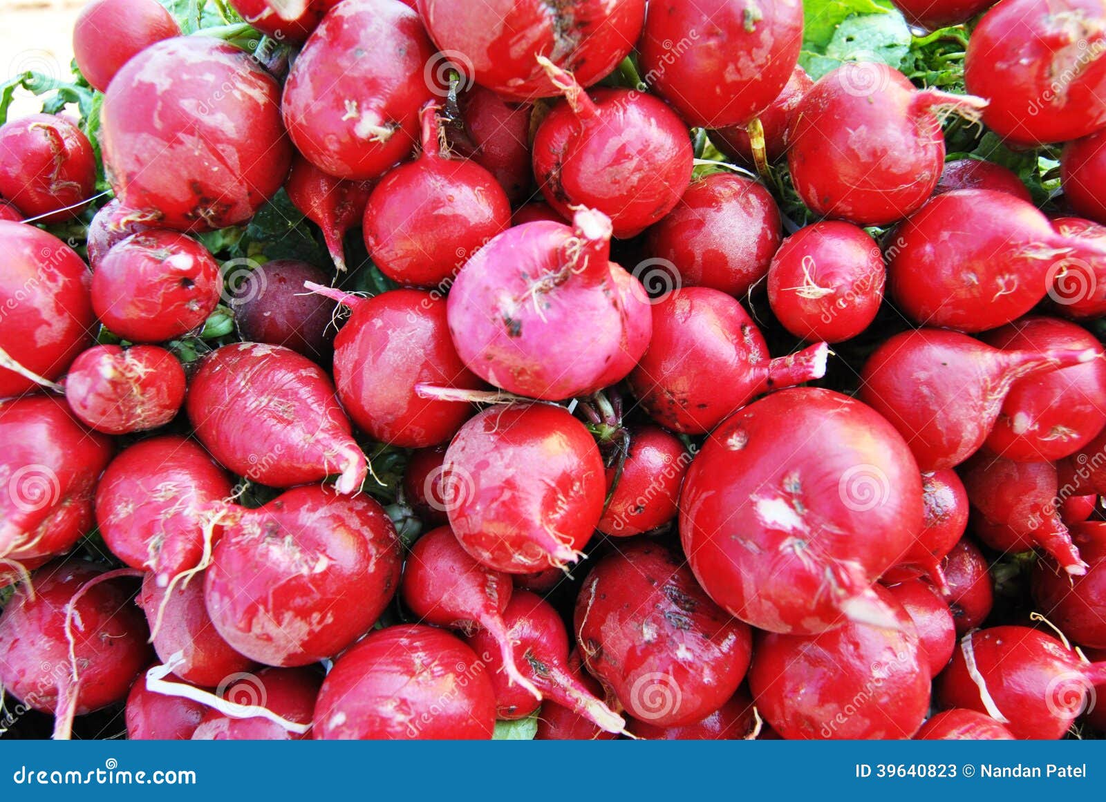 Radish Vegetable in a Market Stock Image - Image of colour, root: 39640823