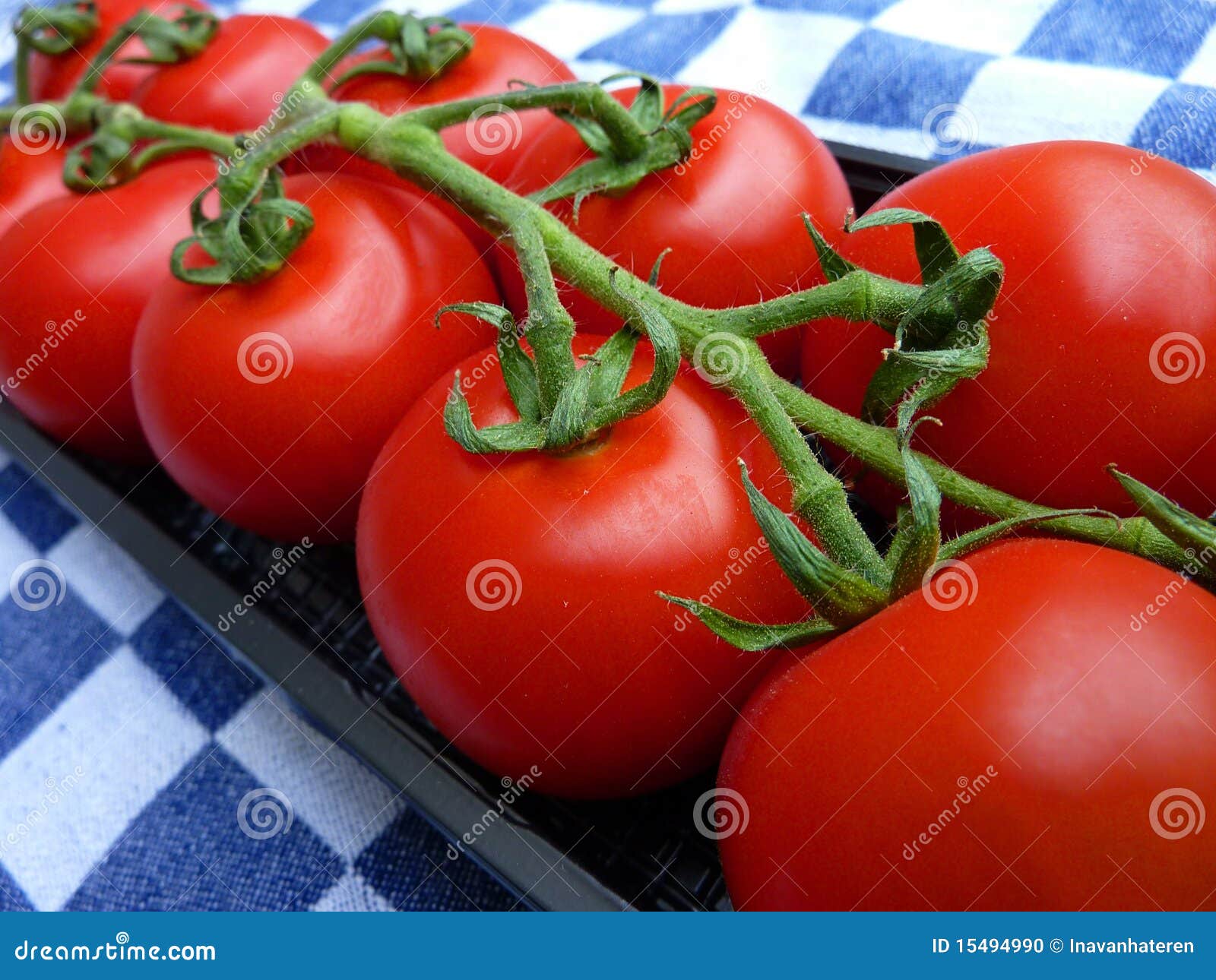 Red vegetables stock photo. Image of healthy, glass, holland - 15494990