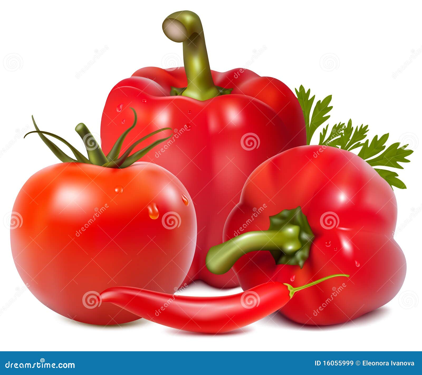 Red Vegetables With Parsley. Cartoon Vector | CartoonDealer.com #16055999