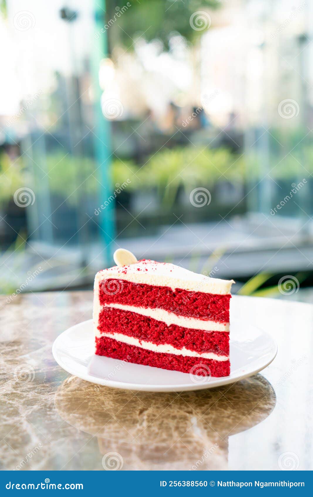 Red velvet cake on plate stock photo. Image of single - 256388560