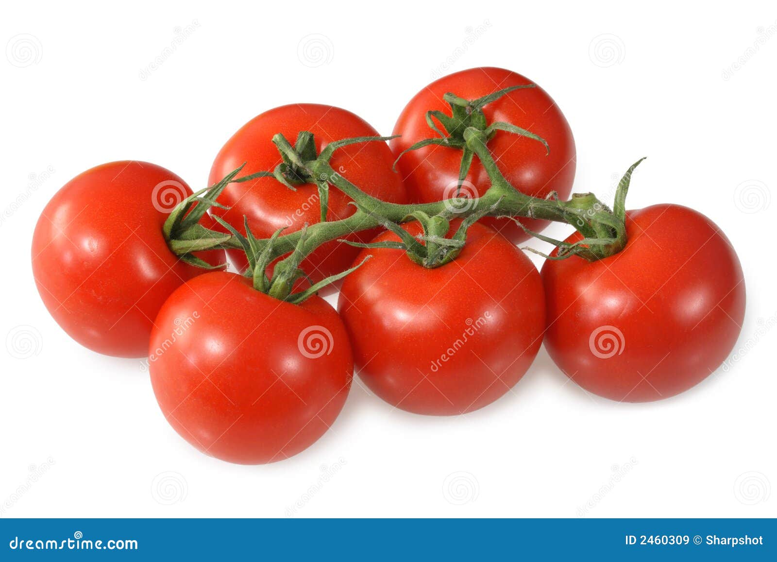 Red vine ripened tomatoes. stock image. Image of bunch - 2460309