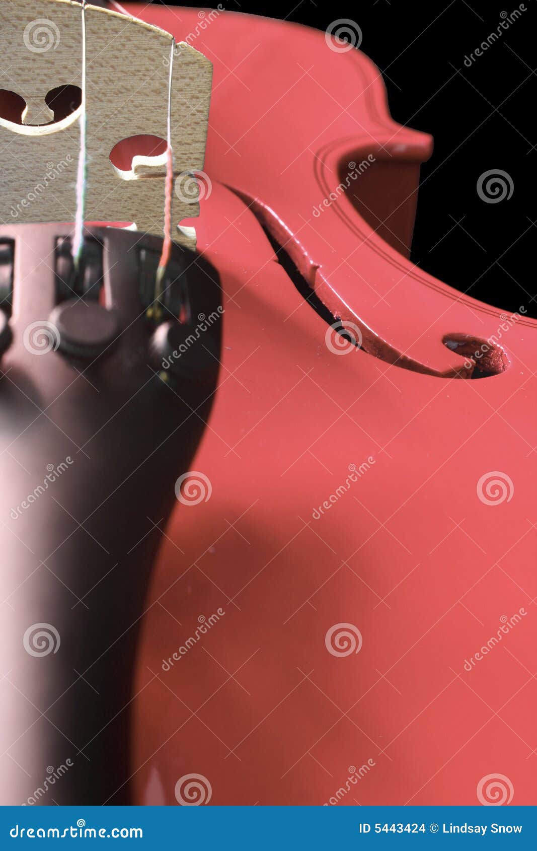 Red Violin stock photo. Image of mozart, viola, concert - 5443424