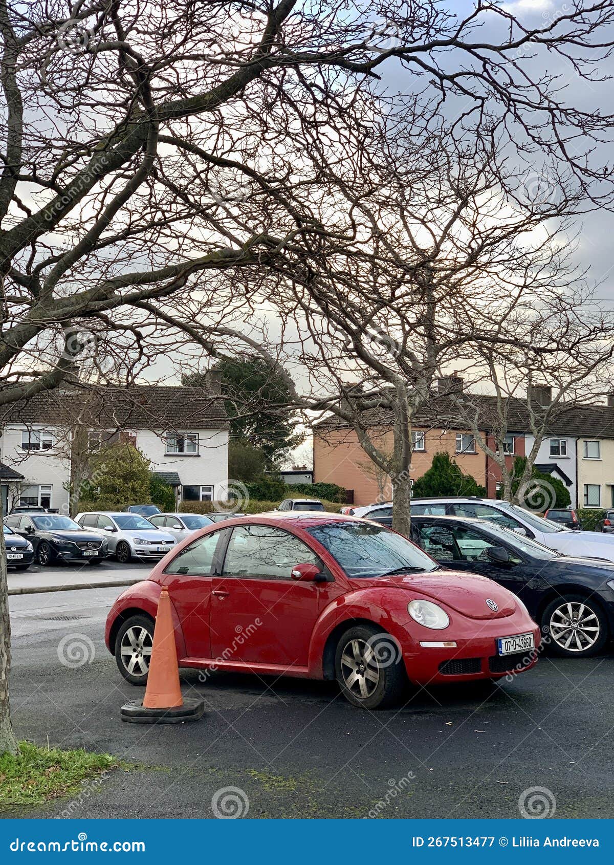 Red Volkswagen Bug Parked Under Tree Editorial Photography - Image of ...