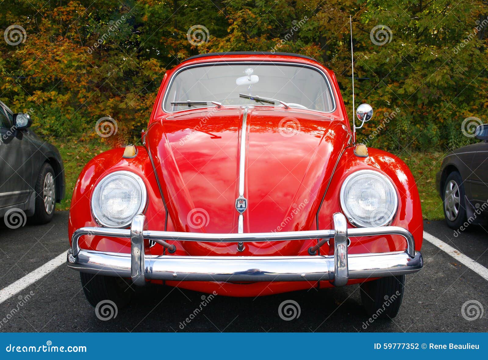 Red Volkswagen stock photo. Image of funny, stylist, parking - 59777352