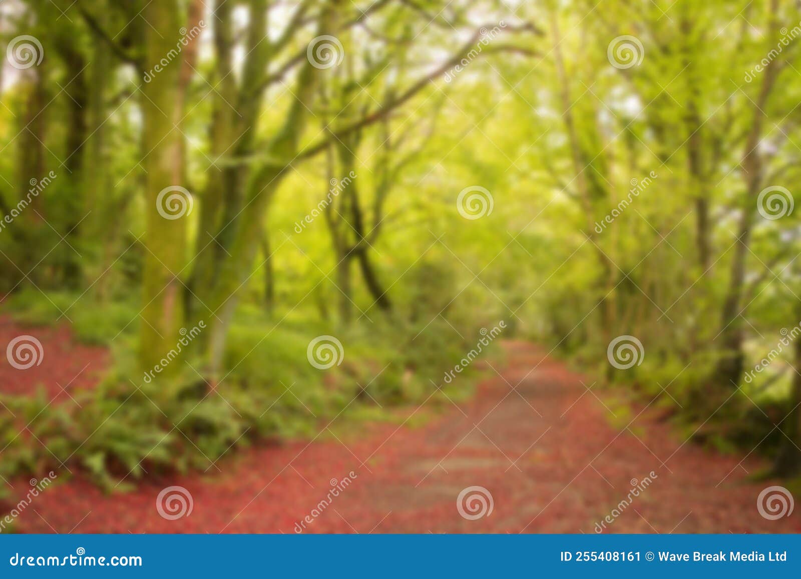 Red walkway amidst trees stock image. Image of footpath - 255408161