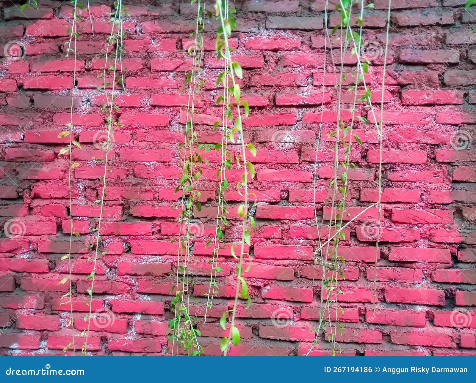Red Wall with Graffiti with Weeds on it Stock Photo - Image of line ...